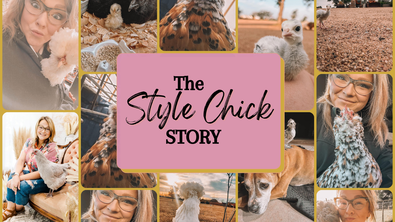 The Style Chick Story