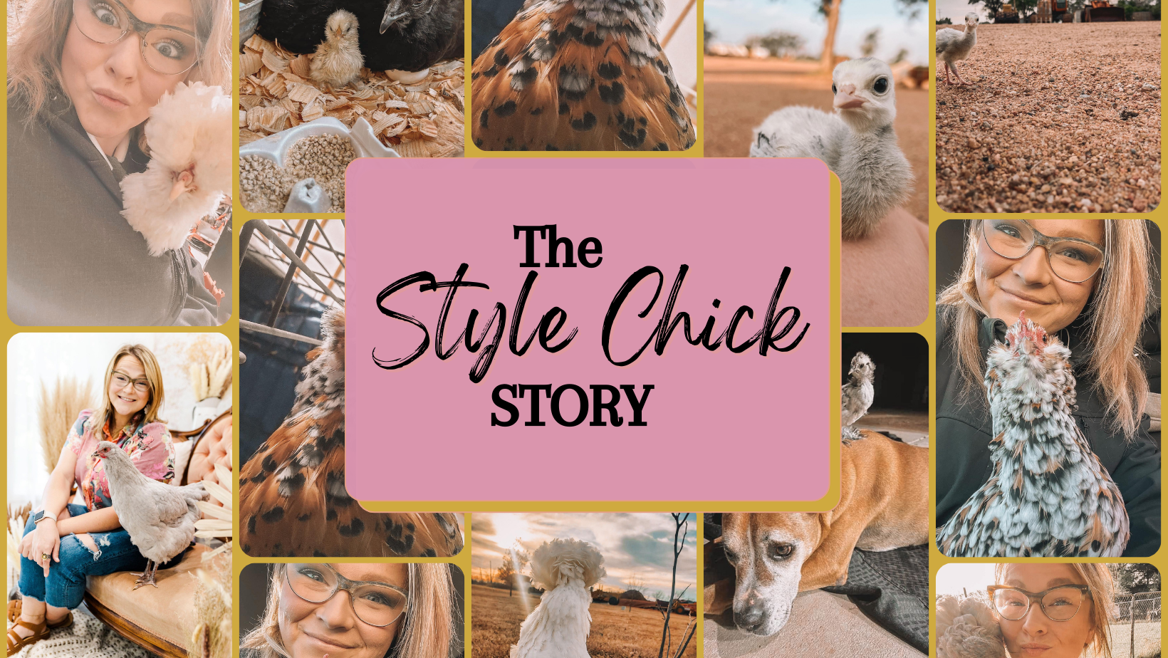 The Style Chick Story